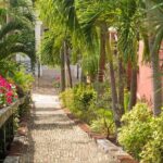 Full Day Shore Tour Charlotte Amalie from Charlotte Amalie Port - What Travelers Say