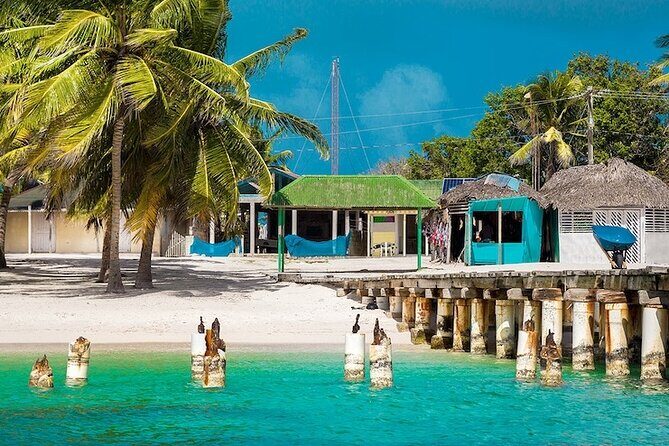 Full-Day Snorkeling Adventure at Catalina Island from Punta Cana - The Itinerary Breakdown: What to Expect