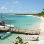 Full Day Snorkeling in Catalina Island with Transportation and Lunch - The Snorkeling Experience and Marine Highlights