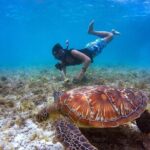 Full-Day Snorkeling Tour to Catalina Island - Practical Tips for Your Day