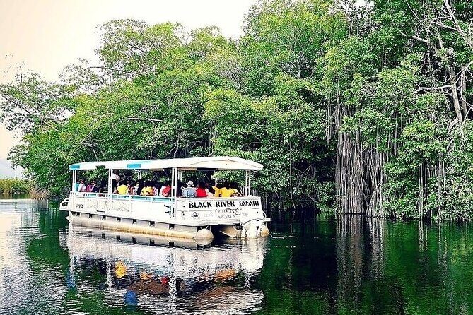 Full-Day South Coast - YS Falls, Pelican Bar & Black River Safari - Practical Details and Tips
