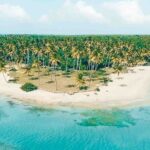 Full-Day Tour in Cap Cana with Buggy and Horseback Riding Experience - Exploring the Itinerary in Detail