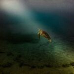 Full Day Tour of Guadeloupe - Detailed Itinerary Breakdown