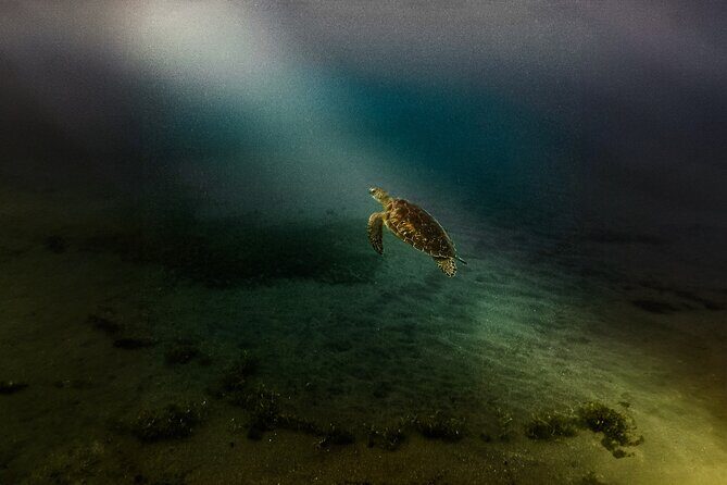 Full Day Tour of Guadeloupe - Detailed Itinerary Breakdown