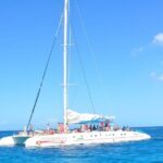 Full-Day Tour of Saona Island from Cap Cana - What Travelers Say