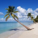 Full-Day Tour of Saona Island from Punta Cana - Authentic Traveler Insights and Considerations