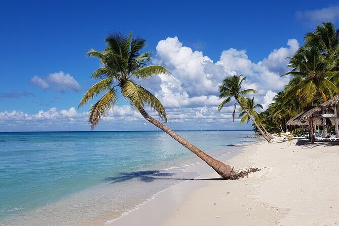 Full-Day Tour of Saona Island from Punta Cana - Authentic Traveler Insights and Considerations