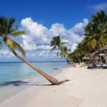 Full Day Tour Saona Island by speedboat from Punta Cana - Pricing and Value