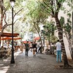 Full Day Tour to Santo Domingo from Punta Cana with Lunch - Authentic Experiences & Traveler Insights