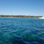 Full-Day Tour to Saona Island from Bayahibe with Lunch - Transportation and Group Dynamics