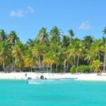 Full Day Tour to Saona Island from Samana - Transportation and Group Dynamics