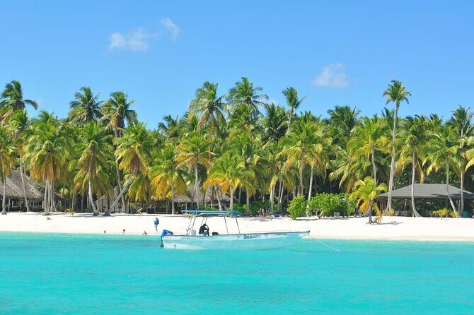 Full Day Tour to Saona Island from Samana - Transportation and Group Dynamics