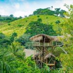 Full-Day Triple Adventure Guided Tour To Bayahibe - A Deep Dive Into the Itinerary