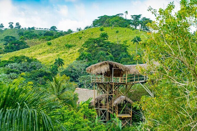 Full-Day Triple Adventure Guided Tour To Bayahibe - A Deep Dive Into the Itinerary