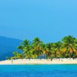 Full-day Whale watching Tour in Samana Bay from Punta Cana - The Experience and Overall Value