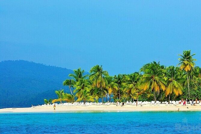 Full-day Whale watching Tour in Samana Bay from Punta Cana - The Experience and Overall Value