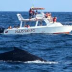 Full-day Whale watching Tour in Samana Bay from Uvero Alto - Exploring the Details of the Tour