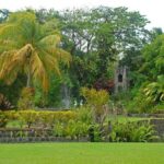 Full Island Private Tour - Final Thoughts: Is It Worth It?