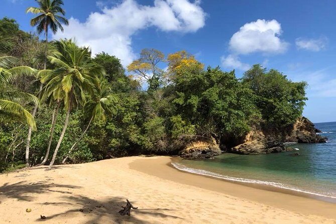 Full Island Tour (Including Lunch & Snorkeling) - Practical Tips for Travelers