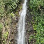 Fun and Exhilarating Experience at Dark View Falls - Practical Tips for Travelers