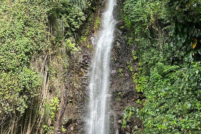 Fun and Exhilarating Experience at Dark View Falls - Practical Tips for Travelers