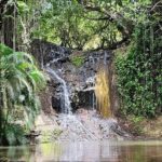 Gardens and Nature Chauffeur Adventures St. Lucia - Practical Details and What You Can Expect