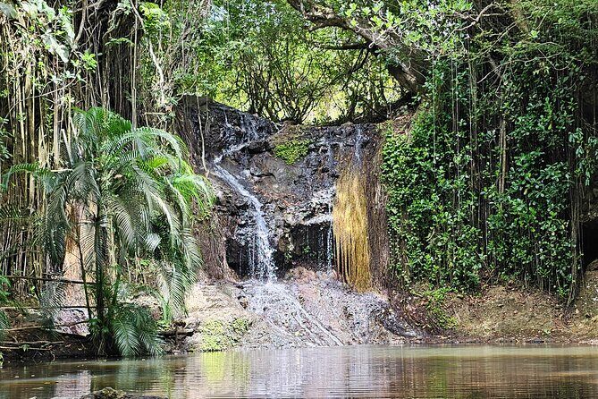 Gardens and Nature Chauffeur Adventures St. Lucia - Practical Details and What You Can Expect