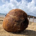 Gay Beach Adventure Queer Friendly Getaway in Puerto Rico Tour - What Travelers Can Expect on the Day