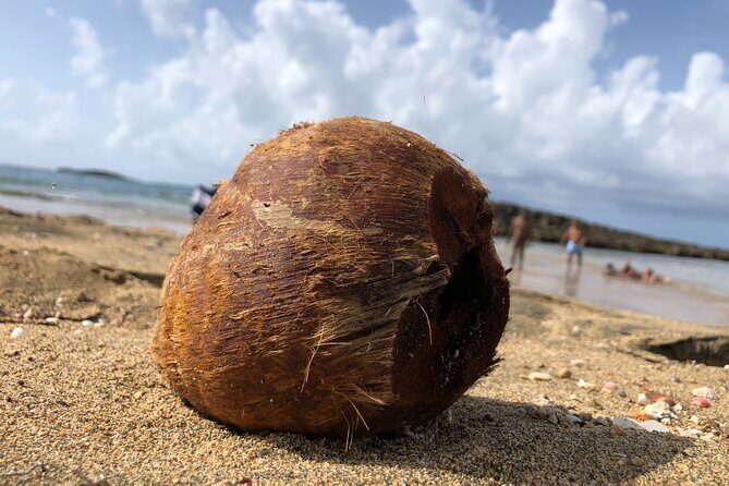 Gay Beach Adventure Queer Friendly Getaway in Puerto Rico Tour - What Travelers Can Expect on the Day