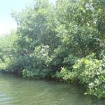 Get Anchored - What to Expect on the Boat