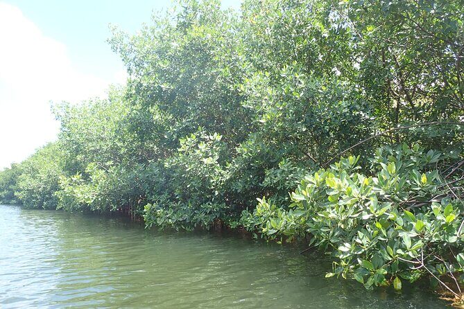 Get Anchored - What to Expect on the Boat