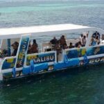 Glass Bottom Boat in Punta Cana - How Does the Price Stack Up?