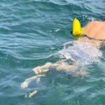 Glass bottom Boat Tour and Snorkeling Experience in Montego Bay - Authenticity and Authentic Experiences