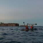 Glass Bottom Kayak Rentals at Condado Lagoon - Who Will Love This Experience?