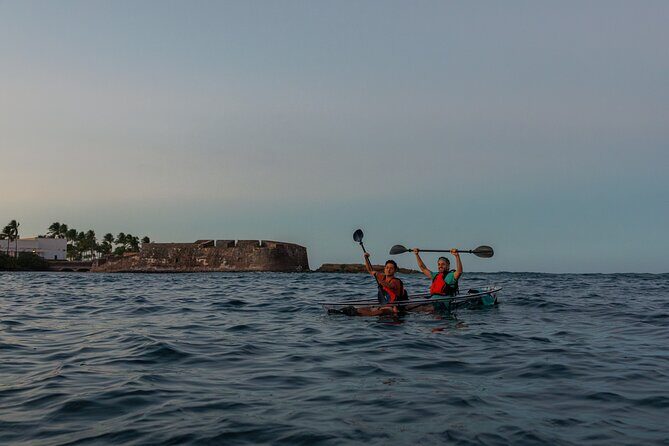 Glass Bottom Kayak Rentals at Condado Lagoon - Who Will Love This Experience?