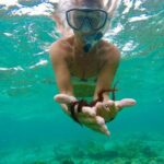 Glass Bottom Nylon Pool Tour in Buccoo Reef - The Overall Value