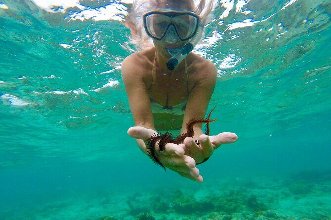 Glass Bottom Nylon Pool Tour in Buccoo Reef - The Overall Value