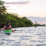 Glass Bottom SUP Rentals at Condado Lagoon - Why This Activity Works Well