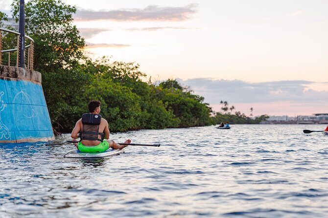 Glass Bottom SUP Rentals at Condado Lagoon - Why This Activity Works Well