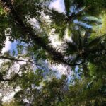 Glide into adventure: Hiking and natural slides - The Experience in Detail