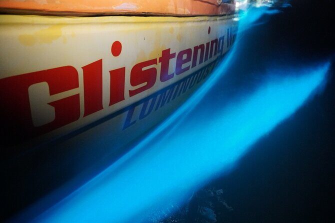 Glistening Waters Luminous Lagoon Night tour with swim option - Who Should Consider This Tour?