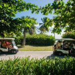 Golf Cart Eco Tour Half Day Tour - An In-Depth Look at the Tour Itinerary