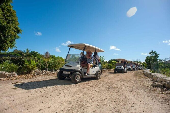 Golf Cart Eco Tour Half Day Tour - Authentic Feedback from Past Travelers