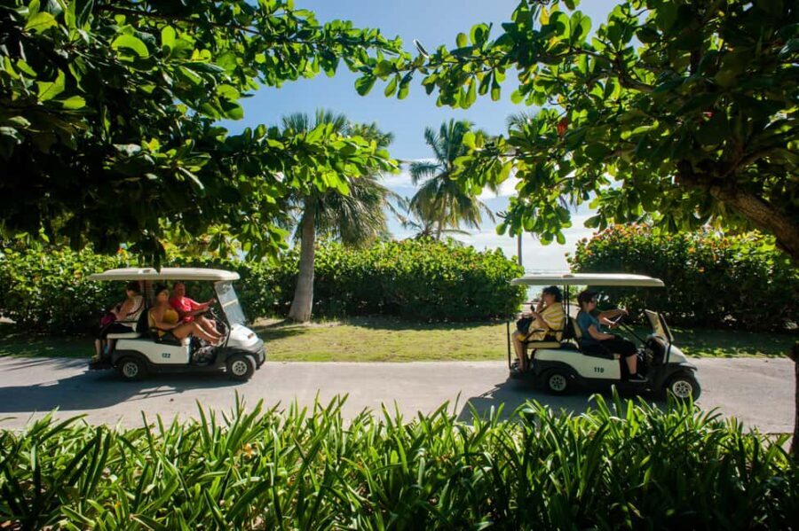 Golf Cart Eco Tour Half Day Tour - An In-Depth Look at the Tour Itinerary