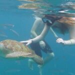 Good Times Too Premium Catamaran Lunch Cruise - Who Will Love This Cruise?