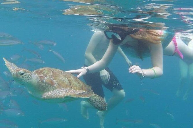 Good Times Too Premium Catamaran Lunch Cruise - Who Will Love This Cruise?