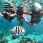 Grand Cayman 2 in 1 Combo Adventure: Stingrays & Reef Snorkeling - The Sum Up: Who will love this tour?