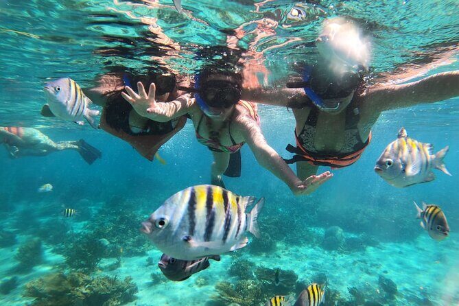 Grand Cayman 2 in 1 Combo Adventure: Stingrays & Reef Snorkeling - The Sum Up: Who will love this tour?