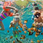Grand Cayman 3-Stop Snorkel Adventure: Stingray City & Reefs Tour - The Value of This Tour