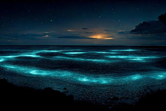 Grand Cayman Bioluminescence Adventure - What Travelers Say: Authentic Experiences
